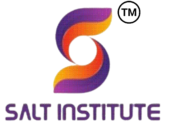 SALT Institute - Skill & Vocational Course Provider